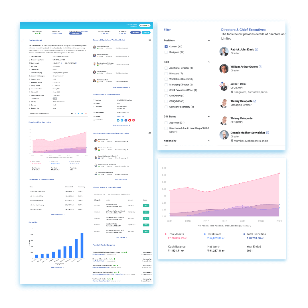 About Us | The Company Check